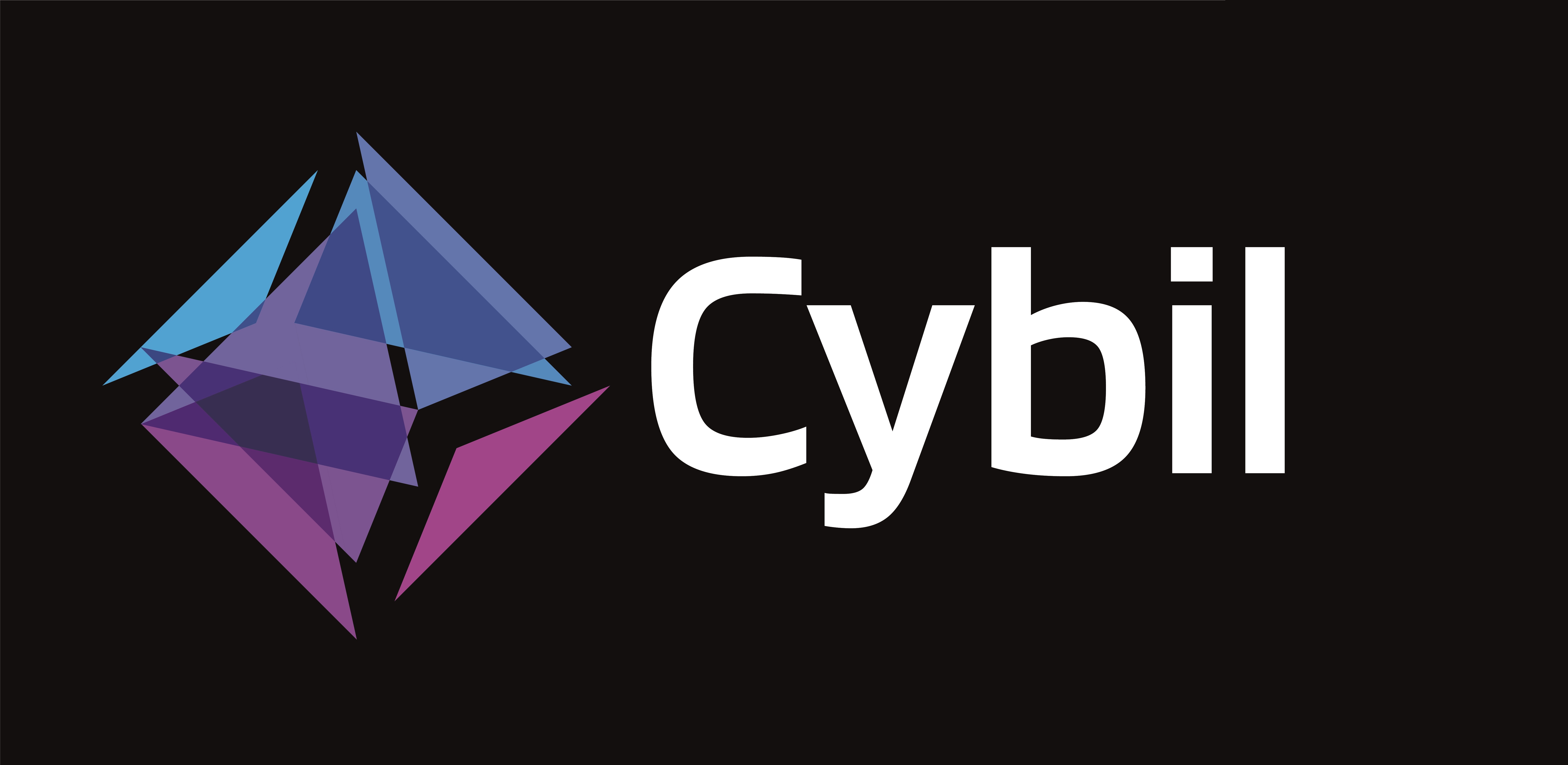 The new Cybil Steering Committee 2021-2023 | Global Cyber Security ...